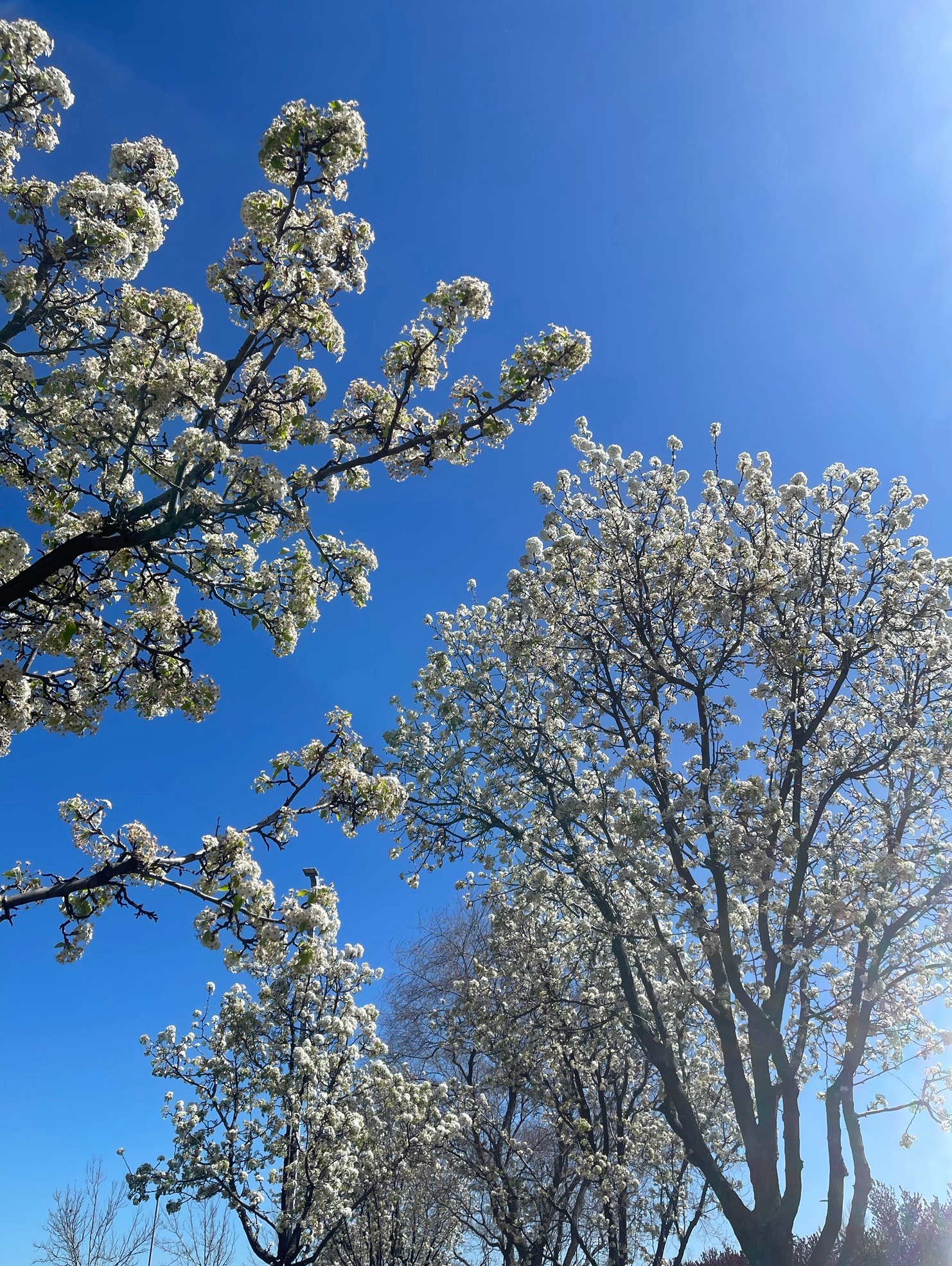 Everyday Step with Jesus – To encourage others through God's word